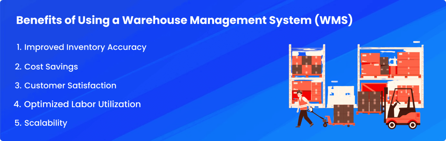 Choosing the Right Warehouse Management Software: Full Guide